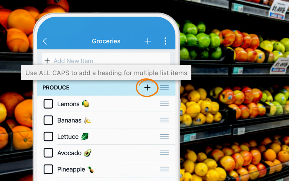 Cozi Family Organizer